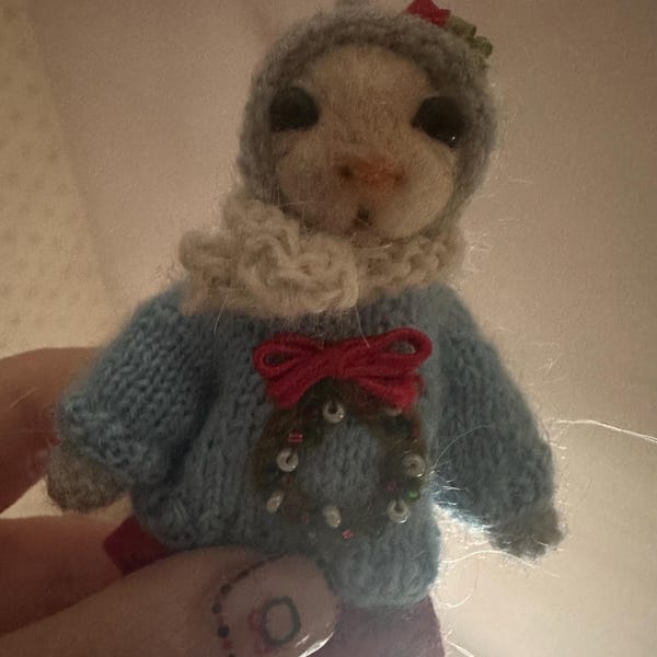 Ruby Red Siblies Sheep Sweater for Easter, Blue Cardigan for Paola ...