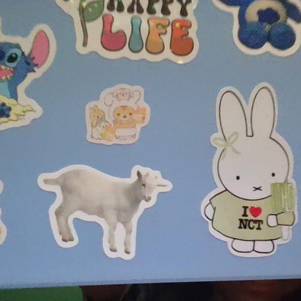 Nct Sticker Bundle (miffy, Sonny Angel, Snoopy, Smiski) - Etsy