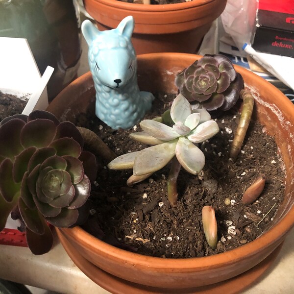 People Planter - "gamer" (#7) - Etsy