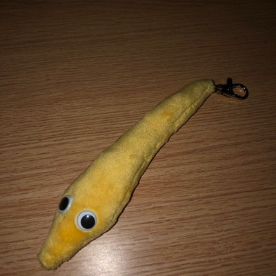 Worm on a String Keychain Custom Made - Etsy