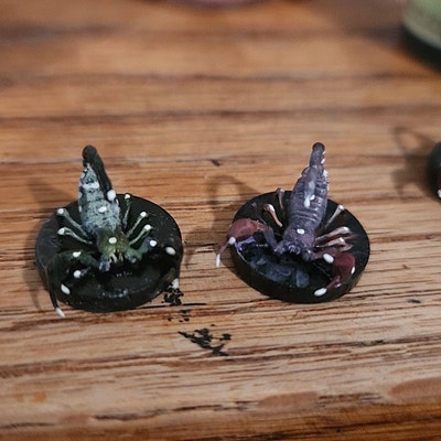 Coastal Druid Wild Shapes Gift Set Crab Fish Hawk - Etsy