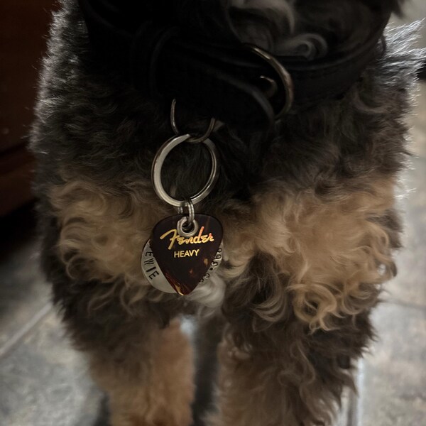 Loki's Ship - Pet ID Tag - Etsy