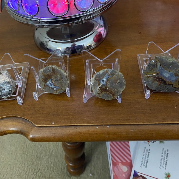 Large Round Paperweight Frame | Glass Paperweights Designed to Display ...