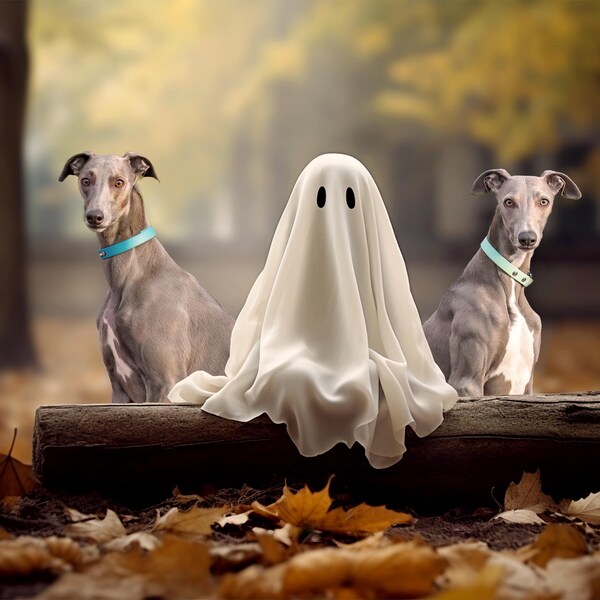 Ghost Backdrop Photography Composite for Kids, Halloween Digital ...