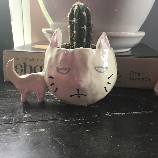 The Big Headed Cat. Ceramic Handmade Plant Pot. Succulent Pot. Cactus Pot. Grumpy Cat ...