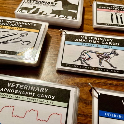 Anatomy Study Note Template for Veterinary Medical & Science - Etsy