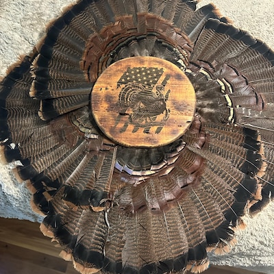 4-fan Turkey Fan Mount - Etsy
