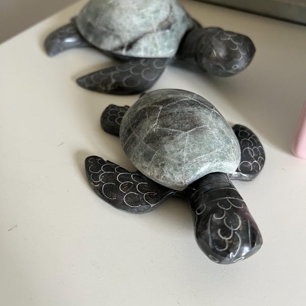 Carlos the Marble Turtle - Etsy