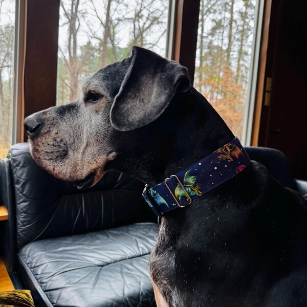 CUSTOM Hidden Prong Training Dog Collar - Real Leather - 2 Inch Wide ...