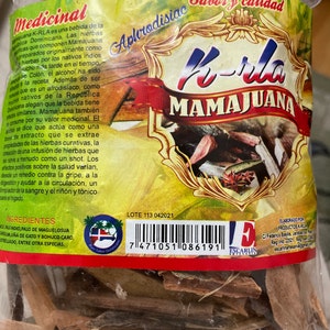 Taino Indigenous Behique Bohique God Handmade Figure Guillen Arte ...