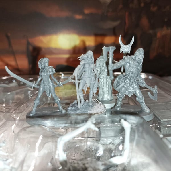 DNDNB - Paws - Guenhwyvar - Black Panther Miniature - Etsy