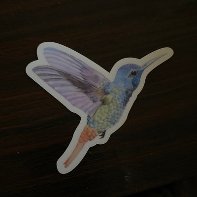 Watercolor Hummingbird Sticker, Hummingbird Decal, Waterproof Vinyl ...