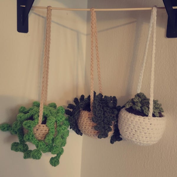PATTERN: Crochet Mini House Plant Collection, Crochet Plant Pattern ...