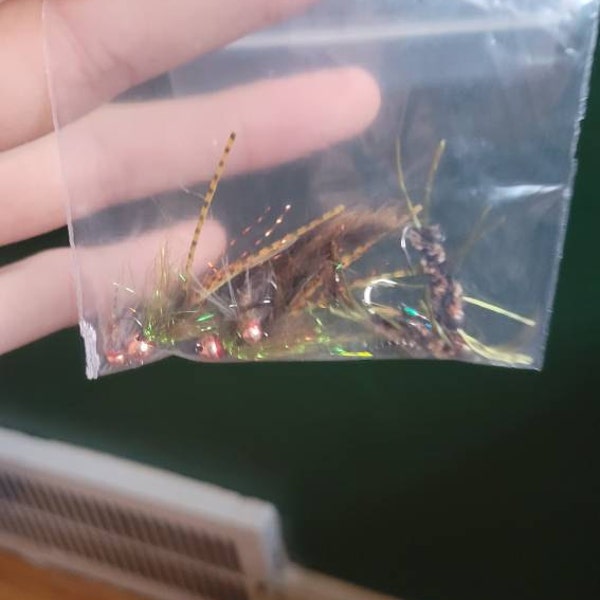 CDC Flashback Caddis - Tungsten Nymph - Etsy