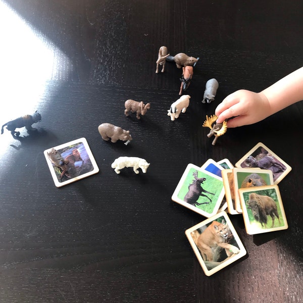 Montessori and Waldorf Learning Sea Life Animals Sustainable Match Toys ...