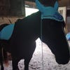 Handmade Glitter Navy Blue Horse English Saddle Pad With Matching Fly ...