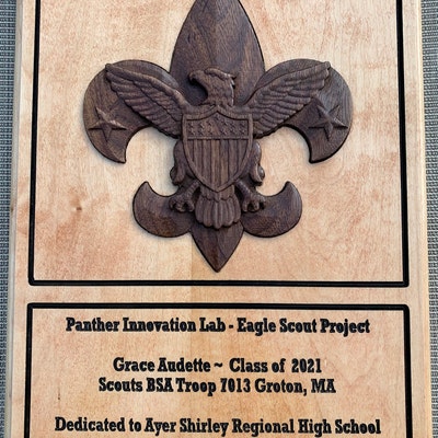 3d File CNC Model eagle Scout Digital File Download Not a Physical Item ...