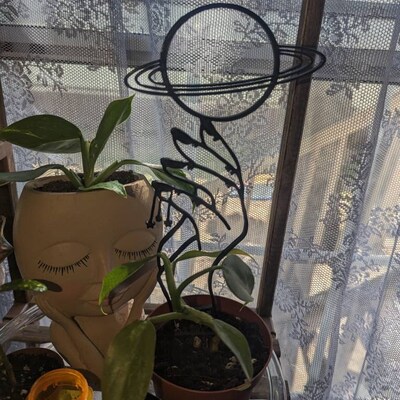 Plant Trellis Cebu Blue Pothos Plant Art Plant Decor - Etsy