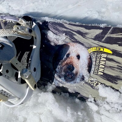 Personalized Stomp Pad, Custom Stomp Pad, Snowboard Stomp Pad ...