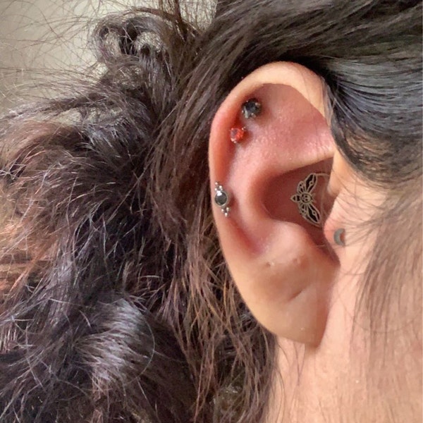 16G Death's Head Moth Captive Bead Ring - Septum, Daith, Helix & Conch ...