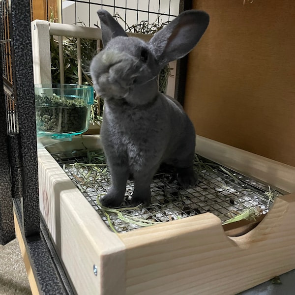 Stainless Steel Scatterless Litter Box With Wood Hay Feeder Food Stand ...