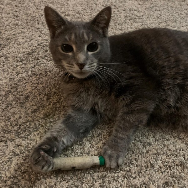 Cat Toys - Felt Catnip Joints - Set of 3 - Available in Catnip ...