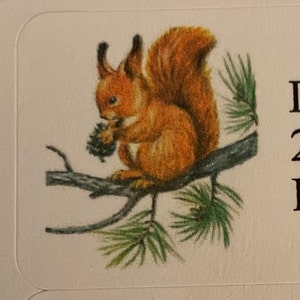 30 Personal Address Labels Trees for All Seasons bx 485c - Etsy