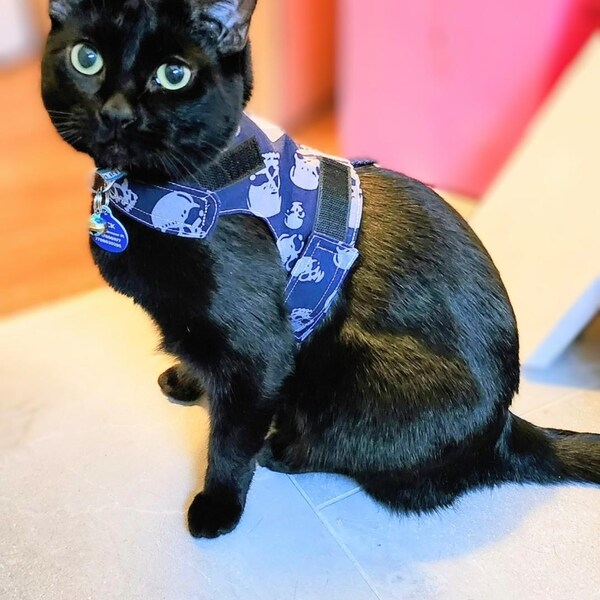 Escape Proof Cat Harness, Purple Plaid by My Kitty Harness - Etsy
