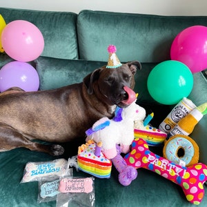 Pet Party Hat Mini Dog Birthday Party Hat Mini Dog Party Hat Cat ...