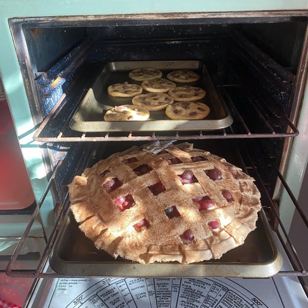 Realistic Fake Turkey - Etsy