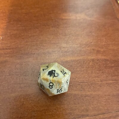 Dnd Dice Set Coral Fossil Polyhedral Dice Set Gemstone Set Dungeons and ...