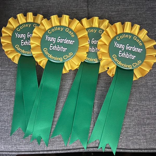 Pleated Rainbow Ribbon 25mm Wide. Quality Box Pleated Ribbon. Perfect ...