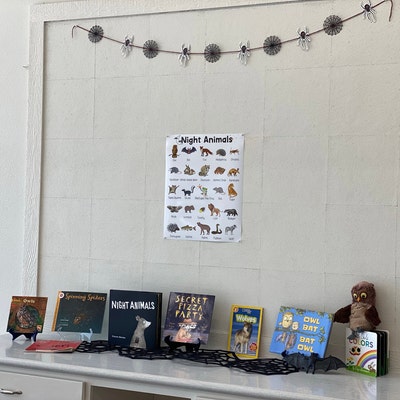 Nocturnal Animal Poster, Night Animals, Science, Homeschool Printable ...