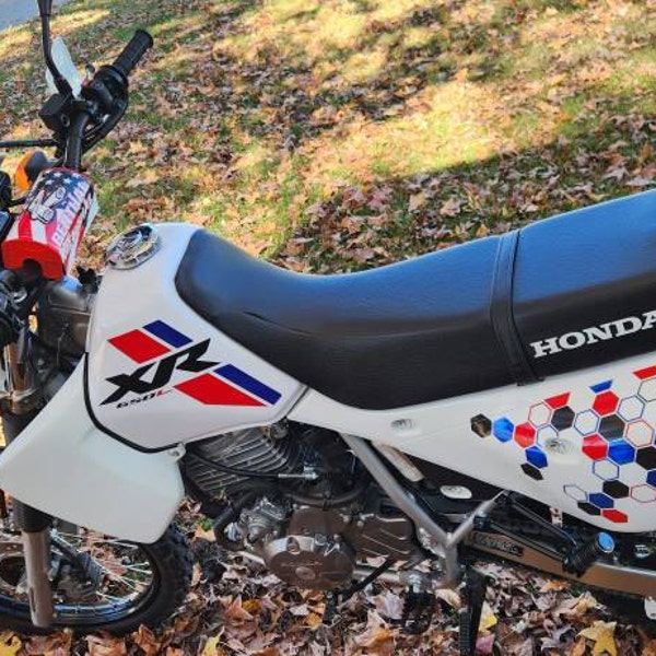 MN Fish House License Numbers - Etsy