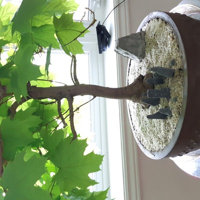 Miniature Stone Lantern Statue for Japanese-inspired Garden Relaxing ...