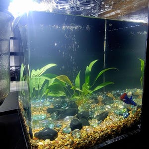 DIY Self Cleaning Conversion Kit for Anchor Hocking, 2 Gallon Fishbowl ...