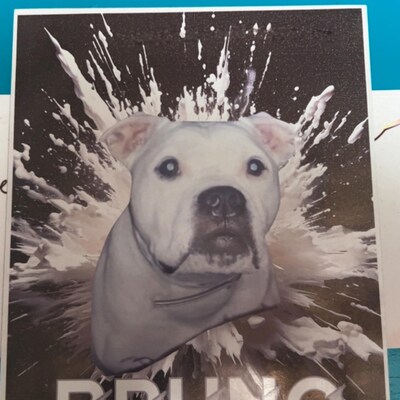 Royal Blue Digital Background, Chandelier Background, Stage Background ...