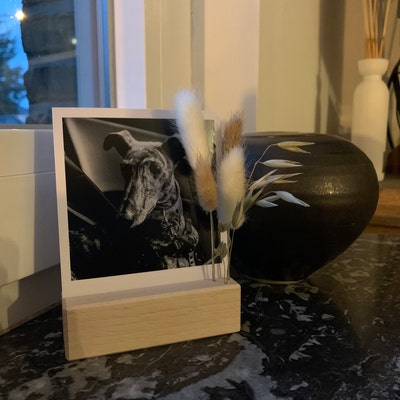 Card and Dried Flower Holder 10 Cm. Card Holder With Space for Dried ...