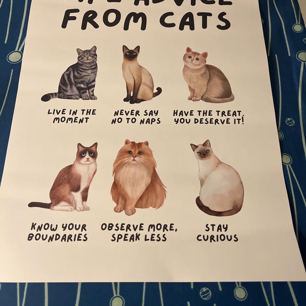 Life Advice From Cats Poster, Cat Wisdom Wall Art, Cat Lovers Gift ...