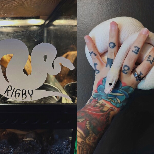 Customizable Name Ball Python Snake Vinyl Decal (READ DESCRIPTION) - Etsy