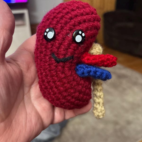 Kidneys Crochet Pattern, Kidney Crochet Pattern, Kidney Amigurumi ...