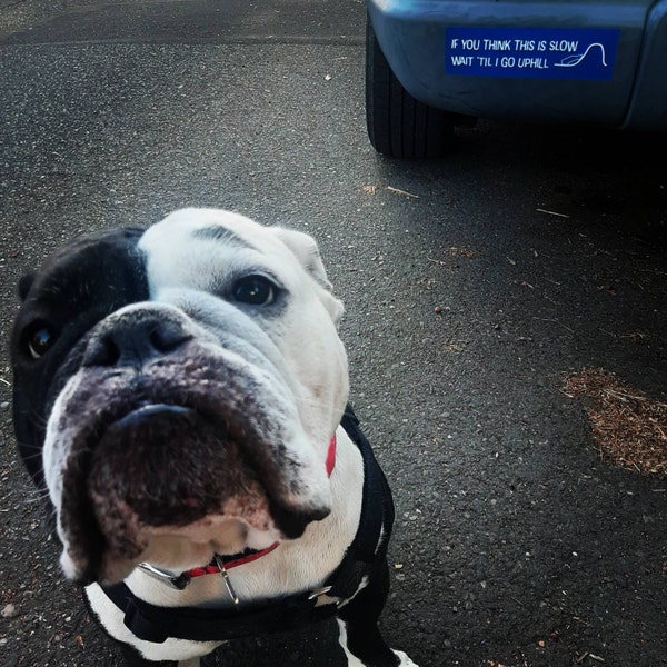 Daffodils and Rugby Sliders Spandex Shorts - Etsy