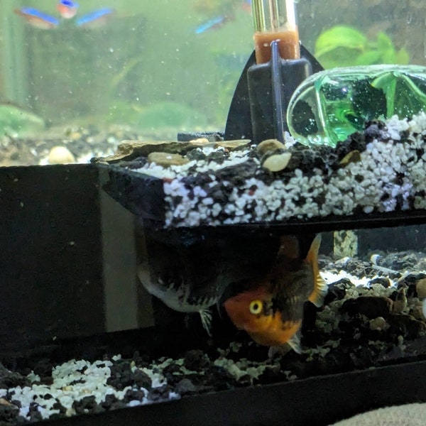Corner Undergravel Fish and Terrarium Tunnel Fish Cave Fish Hide ...
