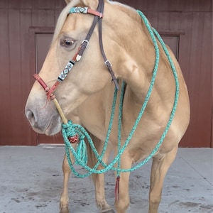 Handmade Bosal Set 40 Plaits Rawhide Natural Bosal Set Bosal - Etsy
