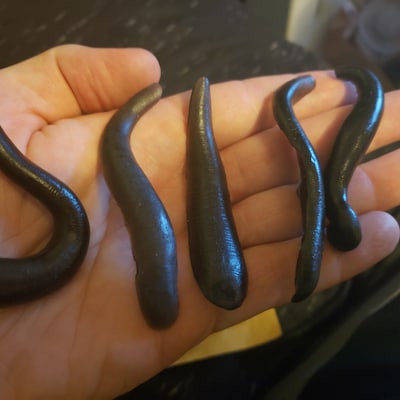 Larp Safe Rubber Leeches Larp Medic 5 Pack Leach Healer - Etsy