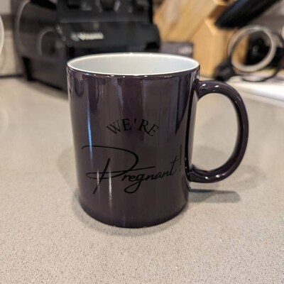 Pregnancy Surprise Mug, We're Pregnant Mug, We Are Pregnant Mug, Color ...