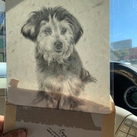 LUFC Sticker Pack - Etsy UK