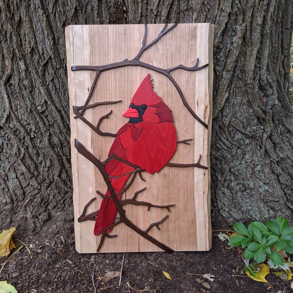 Keda Wood Dye Five Wood Dye Colors Kit Makes Vibrant Wood Stain to ...