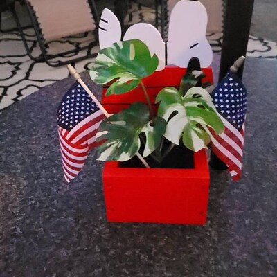 Snoopy and Woodstock Wall Hanging Shelf With Hooks - Etsy