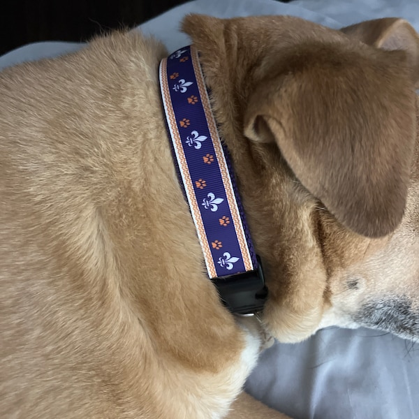 Saint Patrick's Day Shamrocks Dog Collar, Leash, or Matched Set....also ...